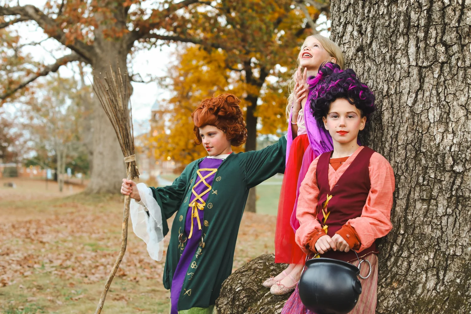Engineering Halloween Costumes — Miller School of Albemarle | Private ...