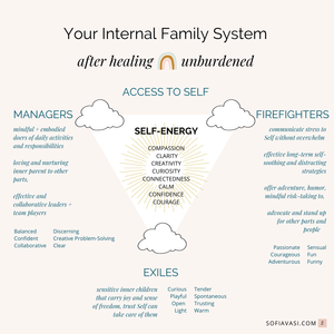 What Is Internal Family Systems Therapy? | Sofia Vasi