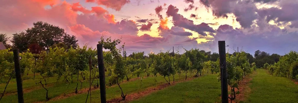 Fancy Farm Vineyard and Winery