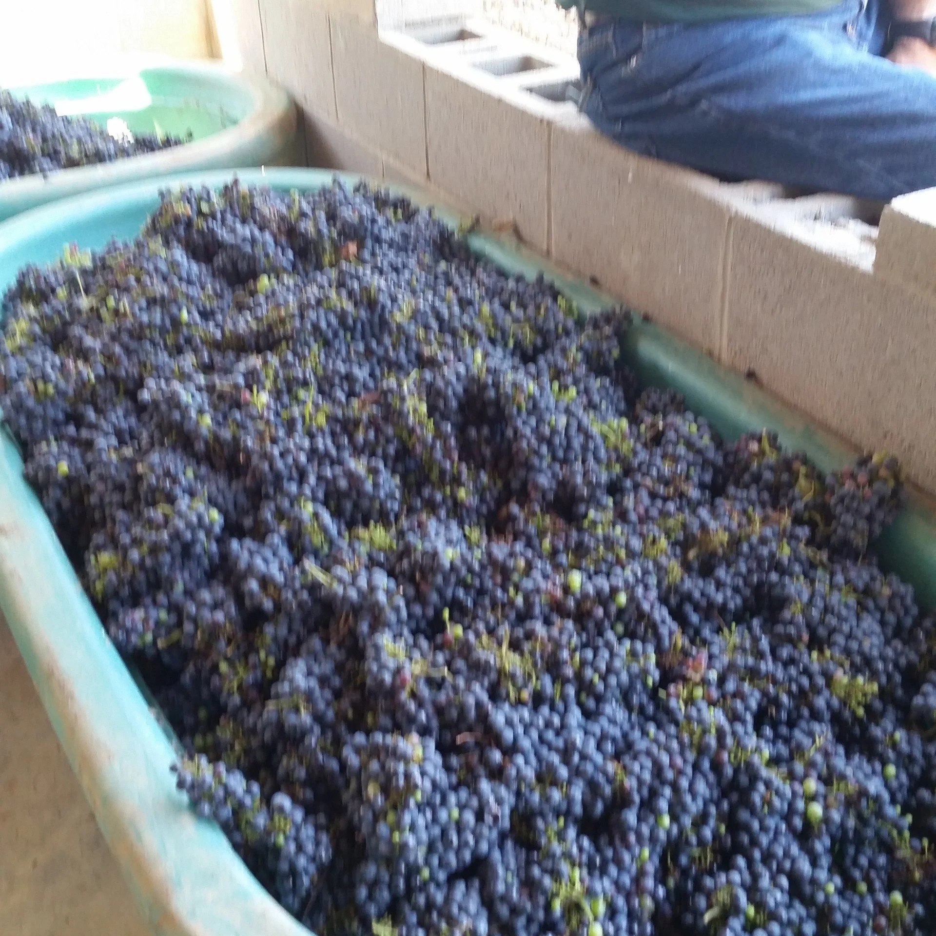 Fancy Farm Vineyard and Winery