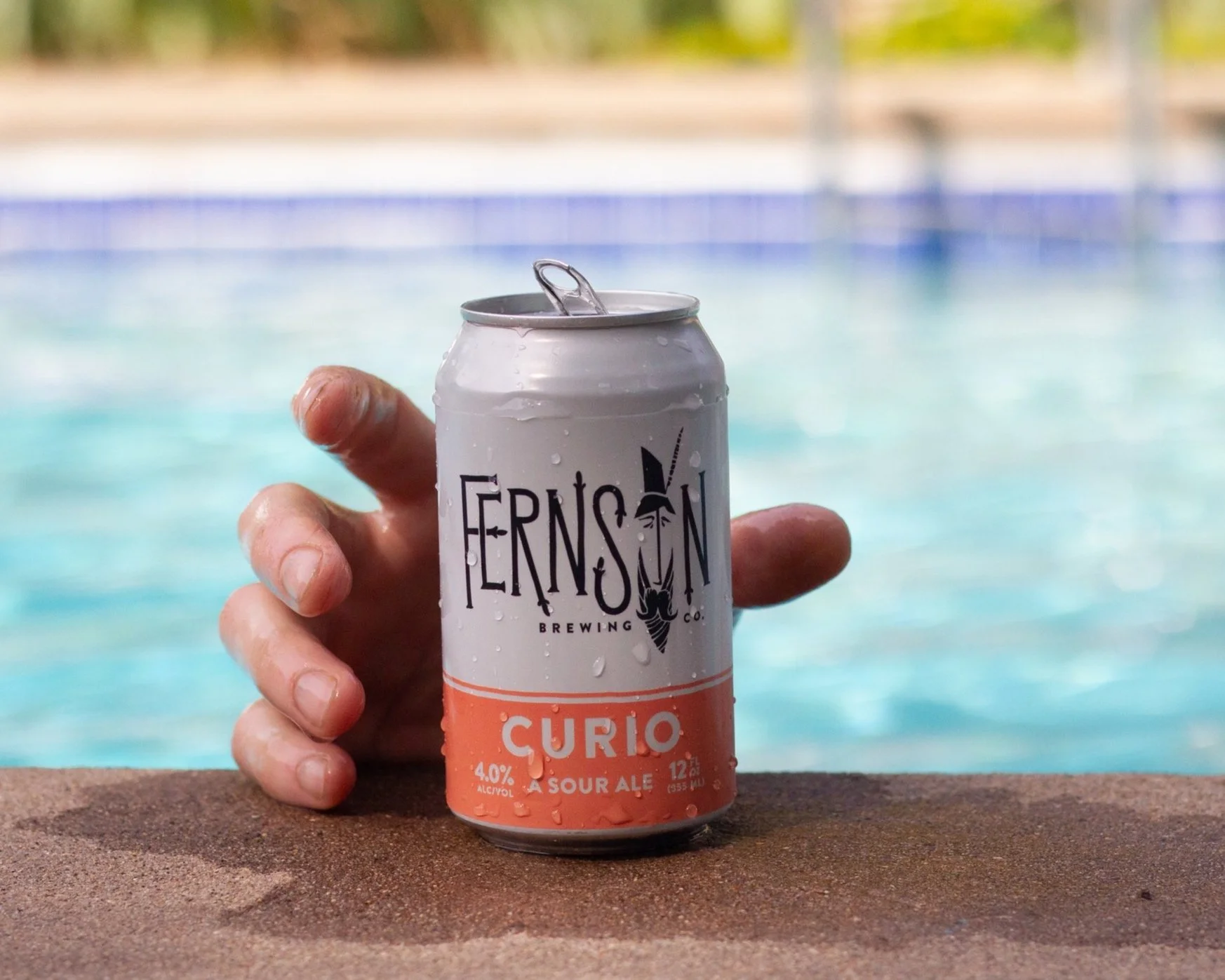 What's in a name? Curio Sour Ale — Fernson Brewing Company