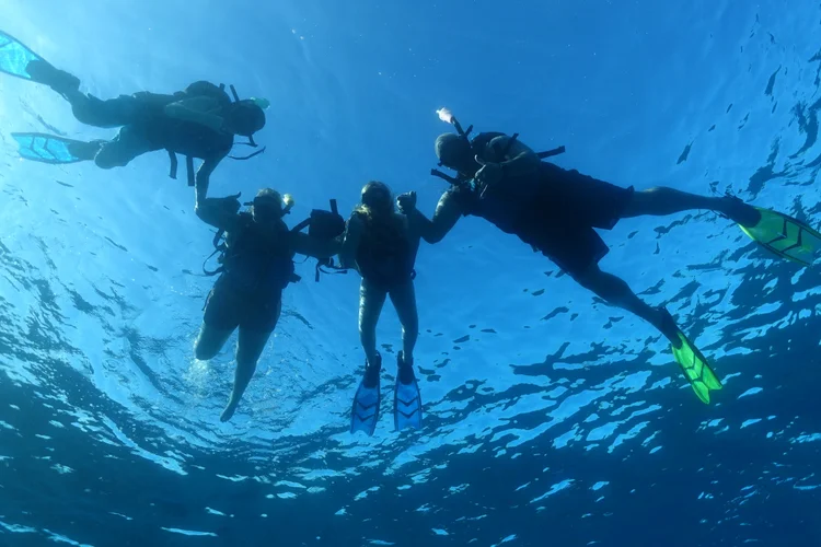 Ohana Ocean Adventures