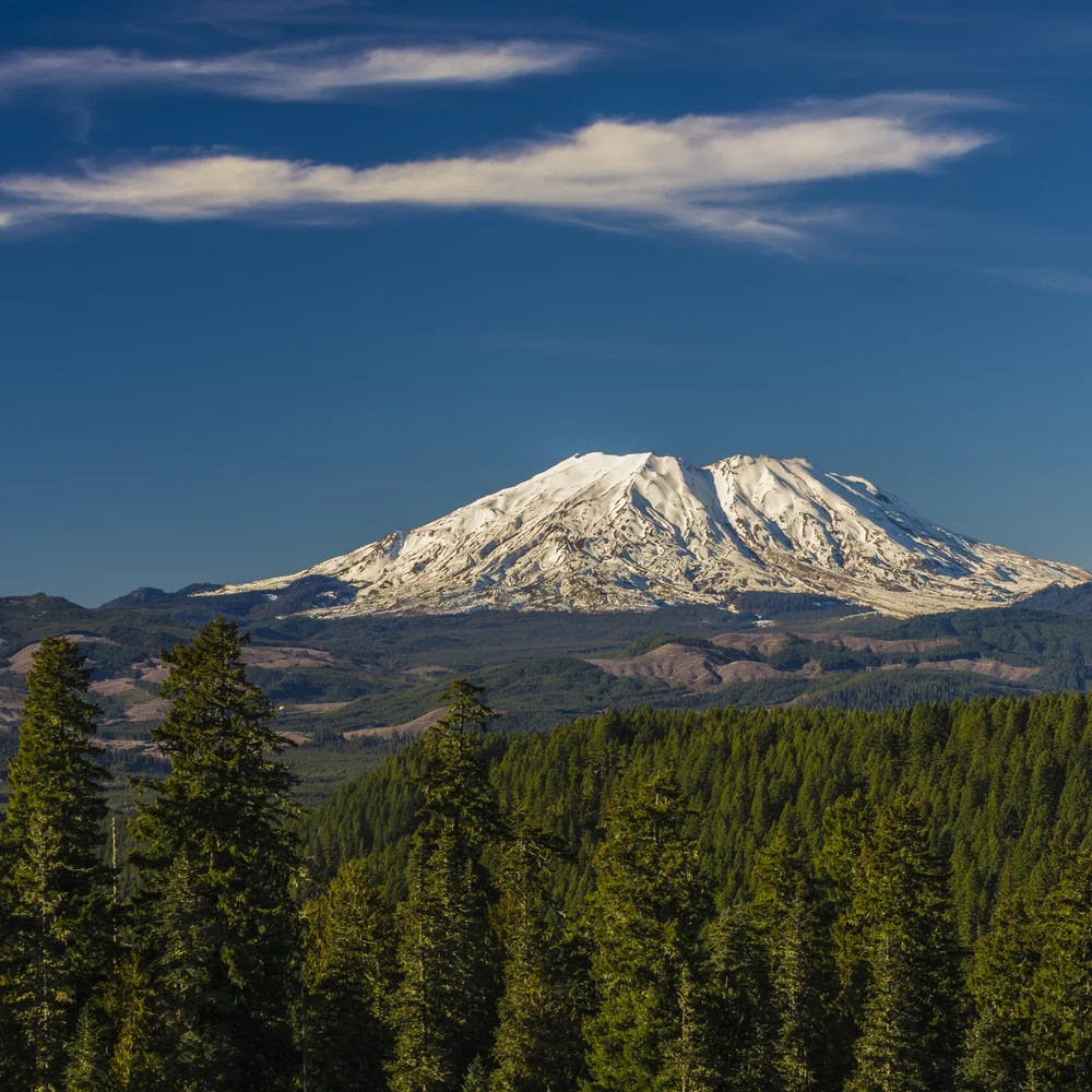 Staff — Community Pathways, Inc.