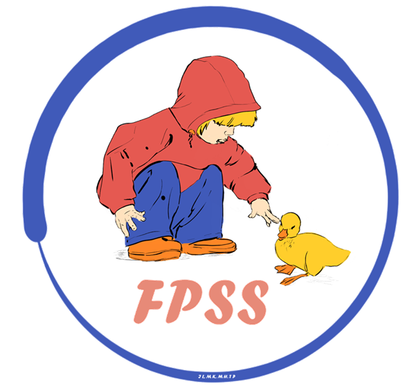 Special Interest Groups — FMSS