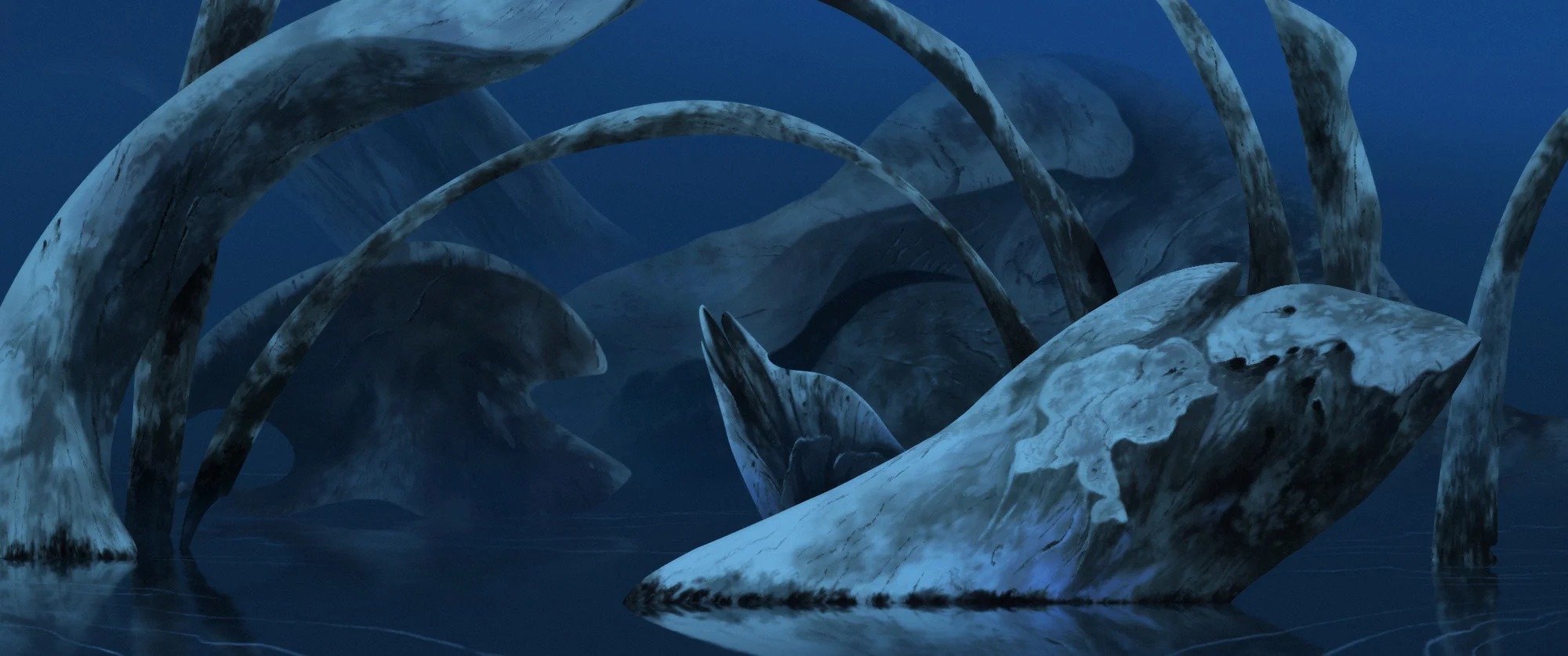 fox and the whale — Patchoforange