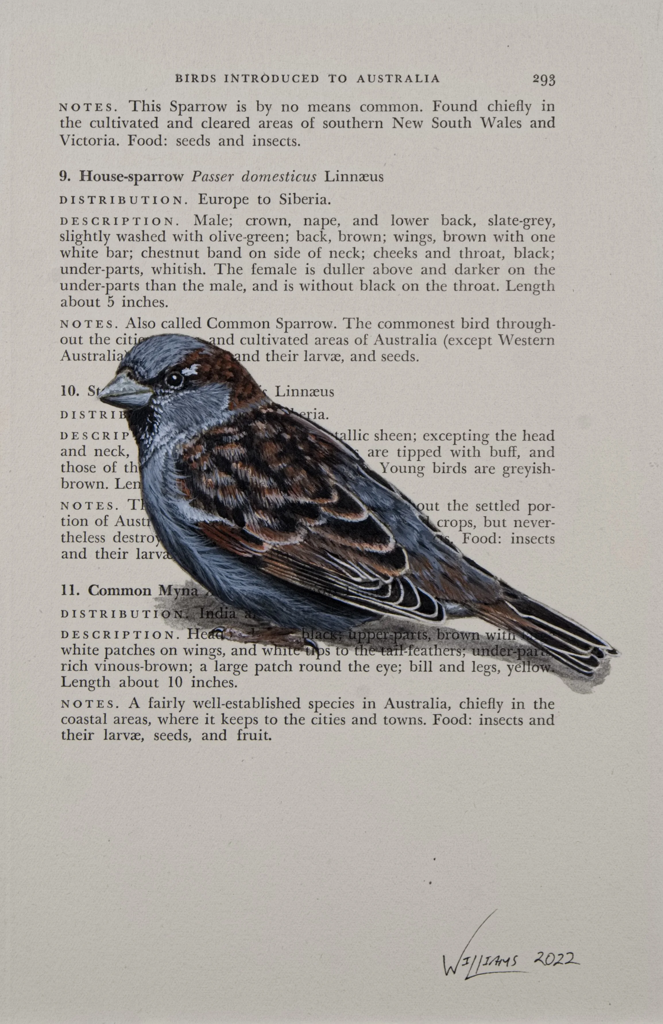 Available Works — Craig Williams