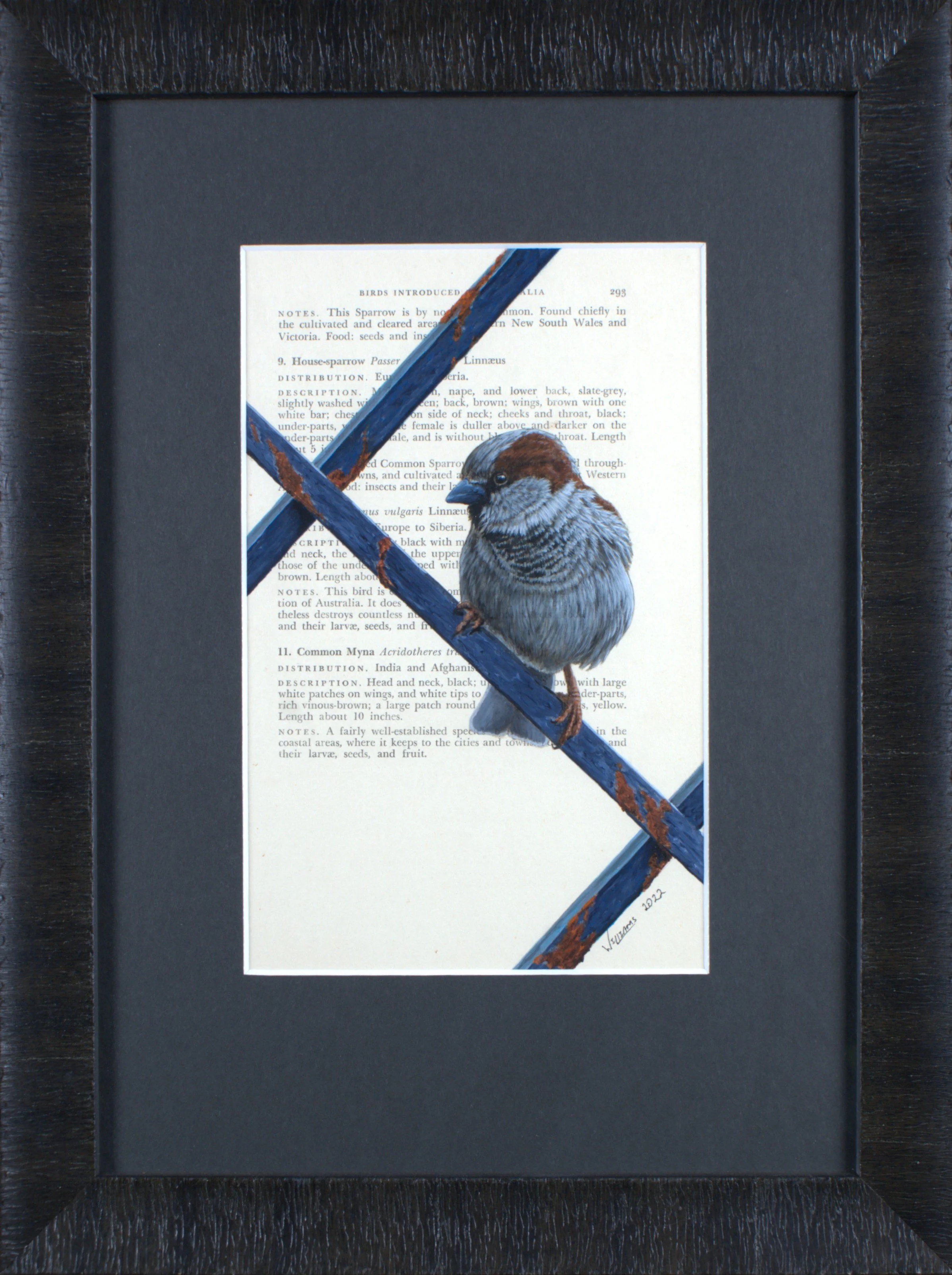 Available Works — Craig Williams