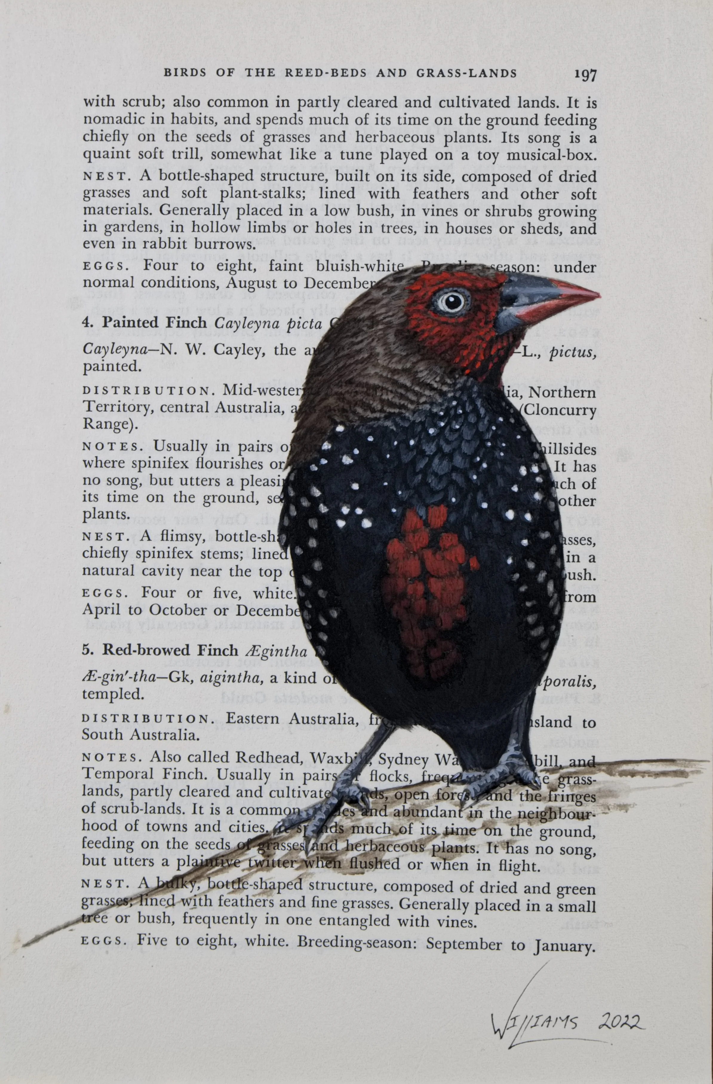 Available Works — Craig Williams