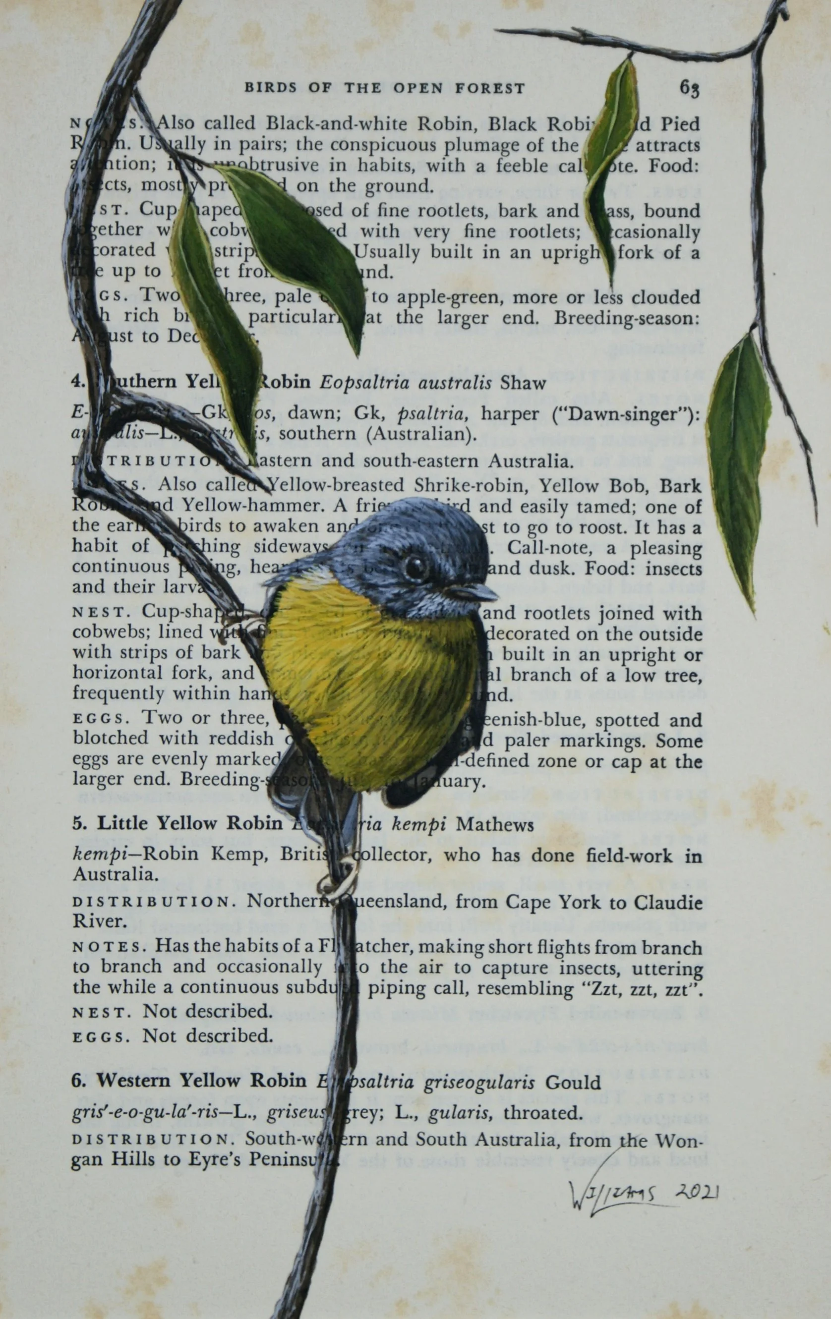 Available Works — Craig Williams
