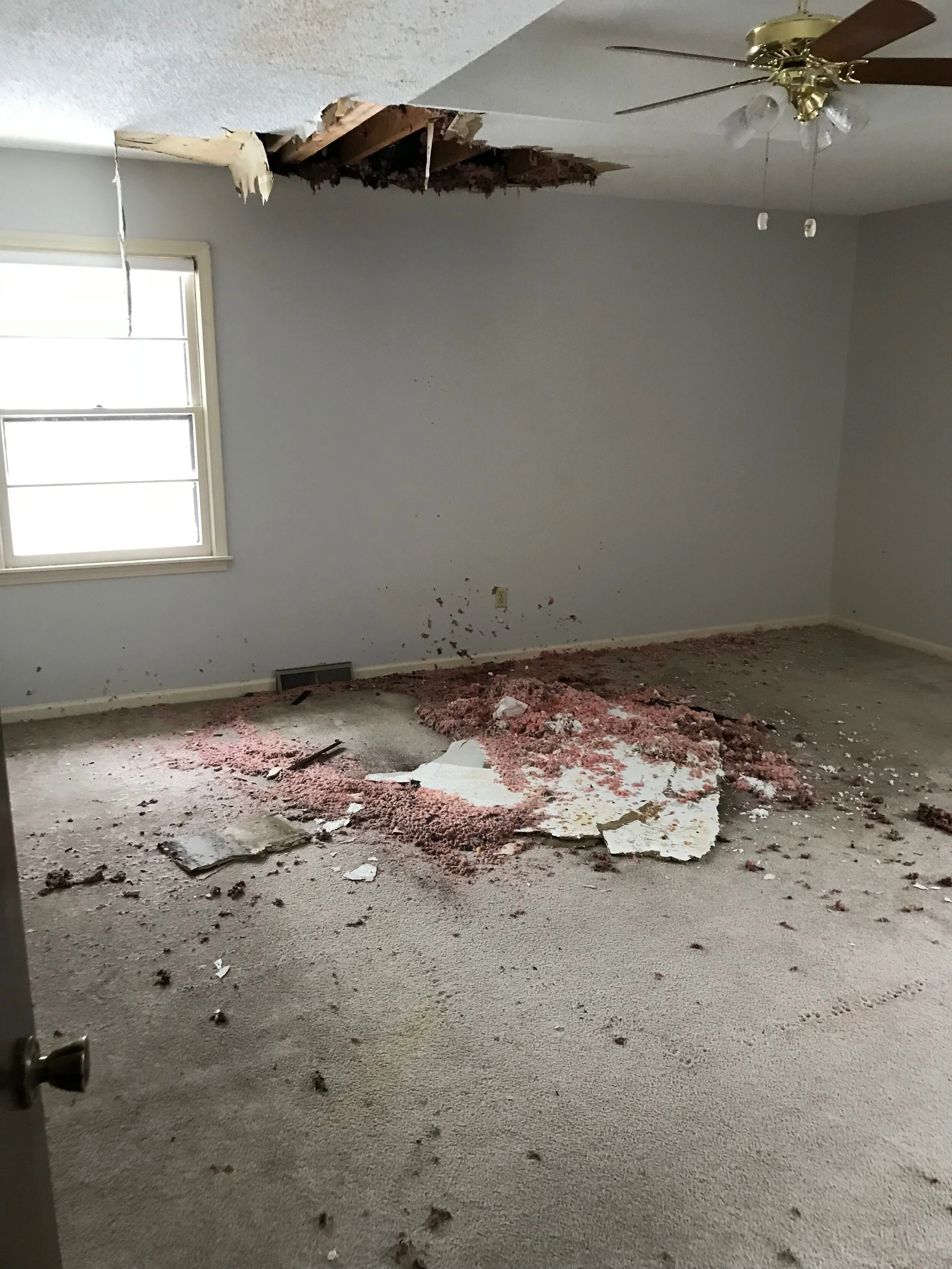 ONE ROOM CHALLENGE: WEEK 1 (Design plans & Before Photos) — Revive & Design