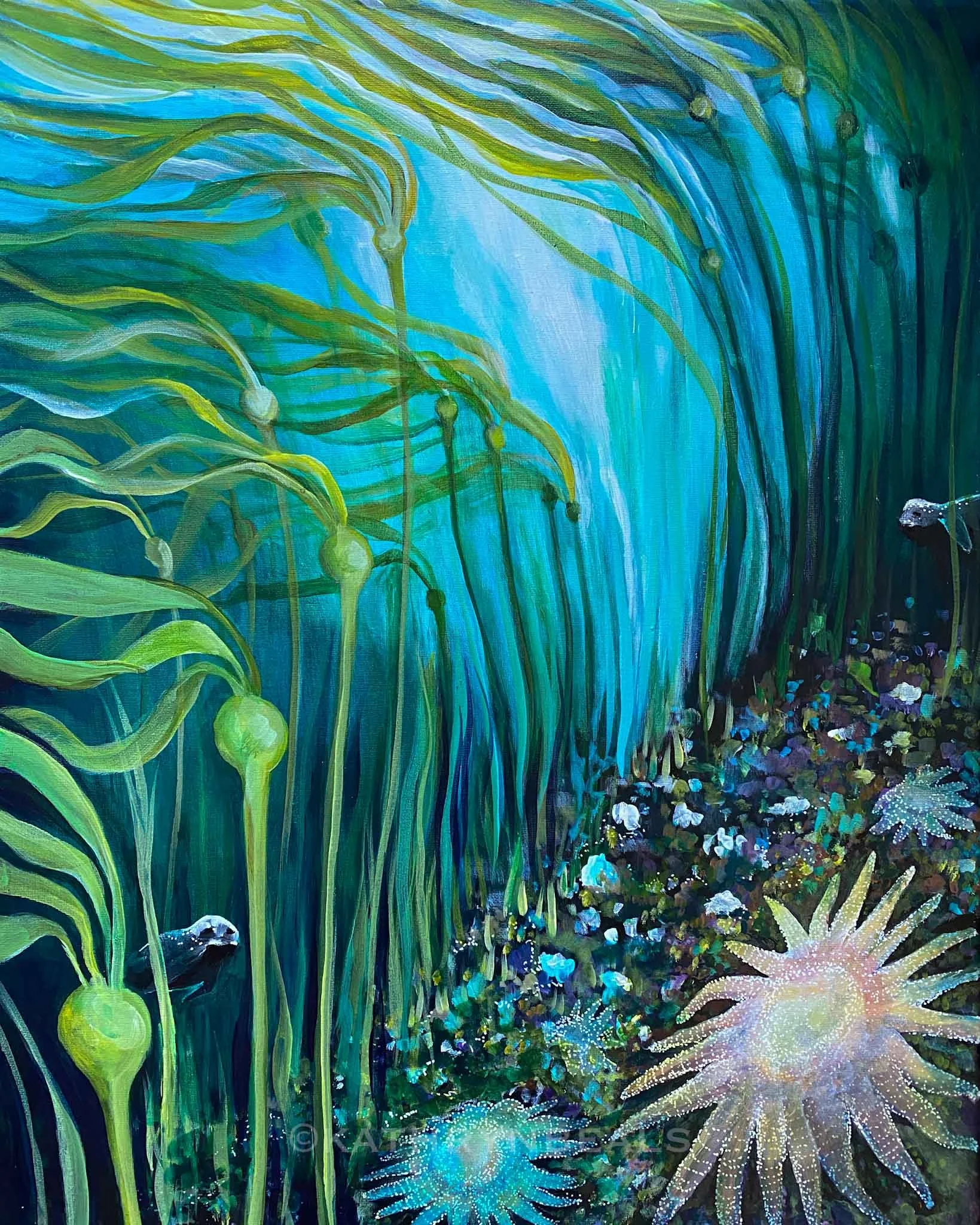 Kelp Forest Series — Kathryn Beals