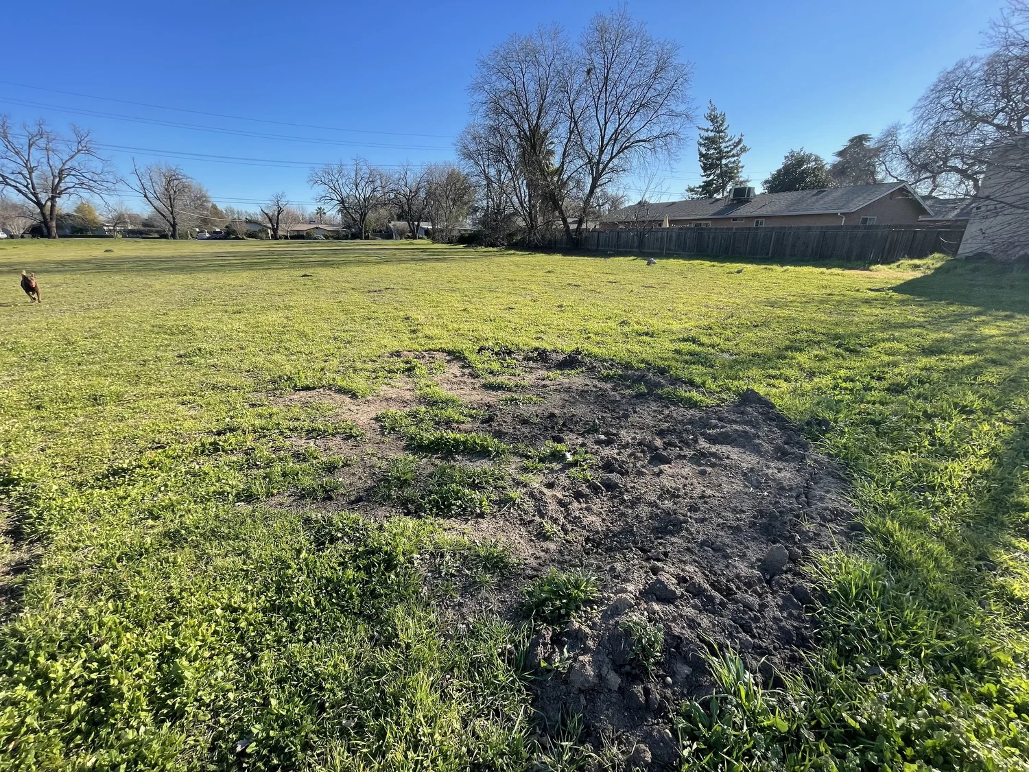 Tonea Senior Living — Watershed Science