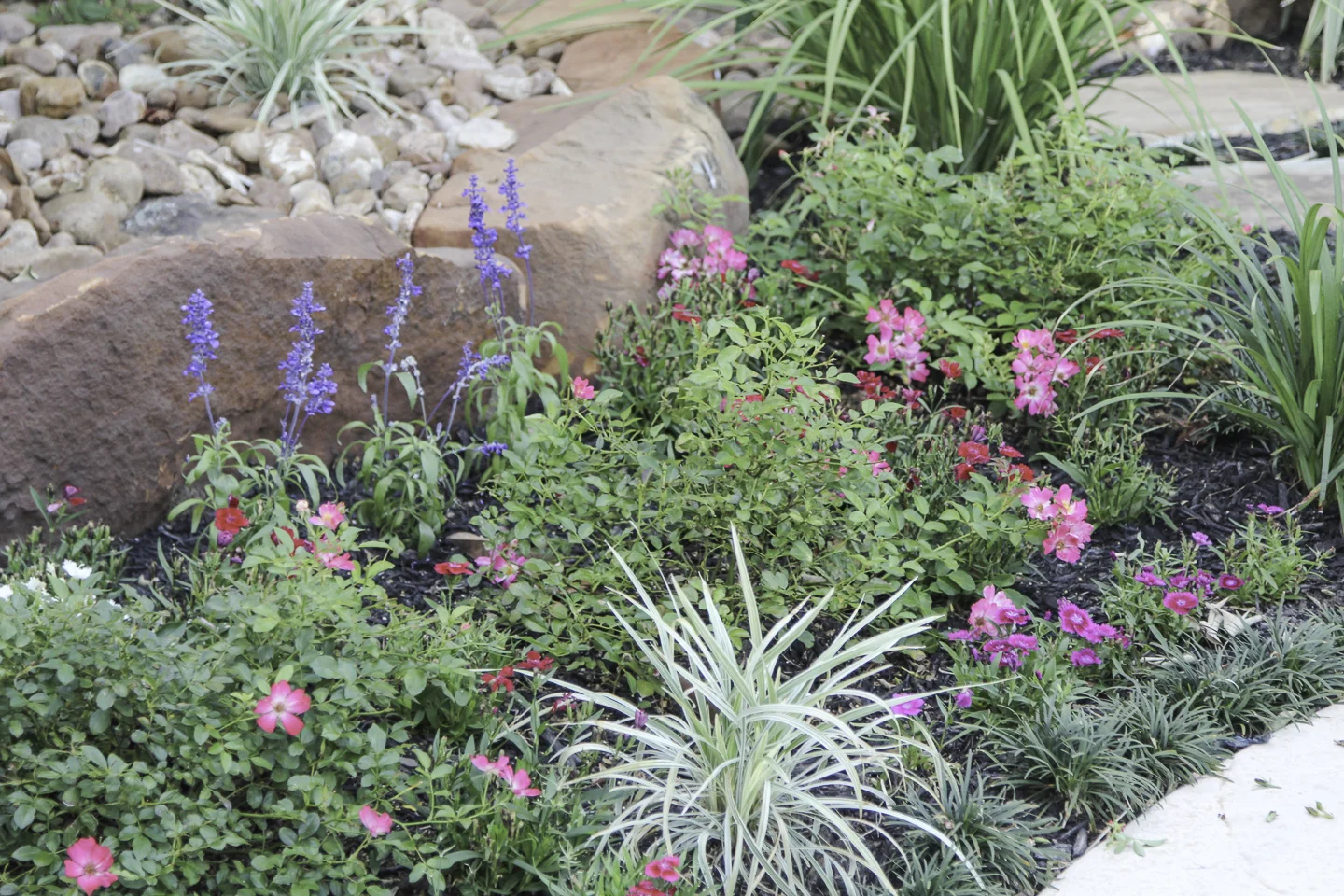 10 Proven Low Maintenance Perennials for Your Southeast Texas Garden ...