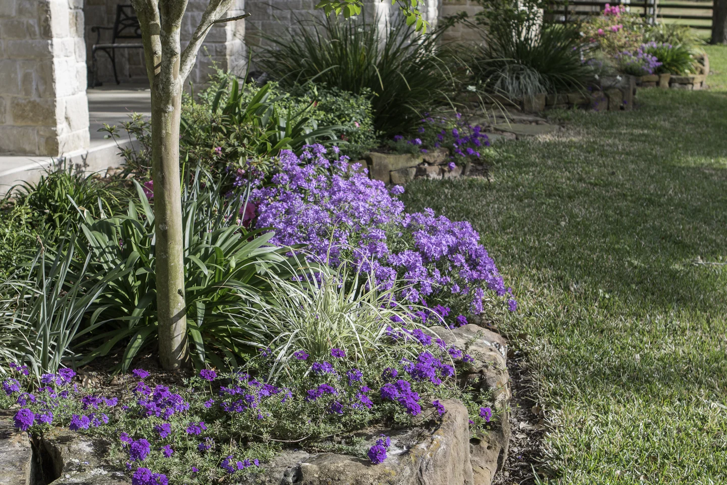 10 Proven Low Maintenance Perennials for Your Southeast Texas Garden ...