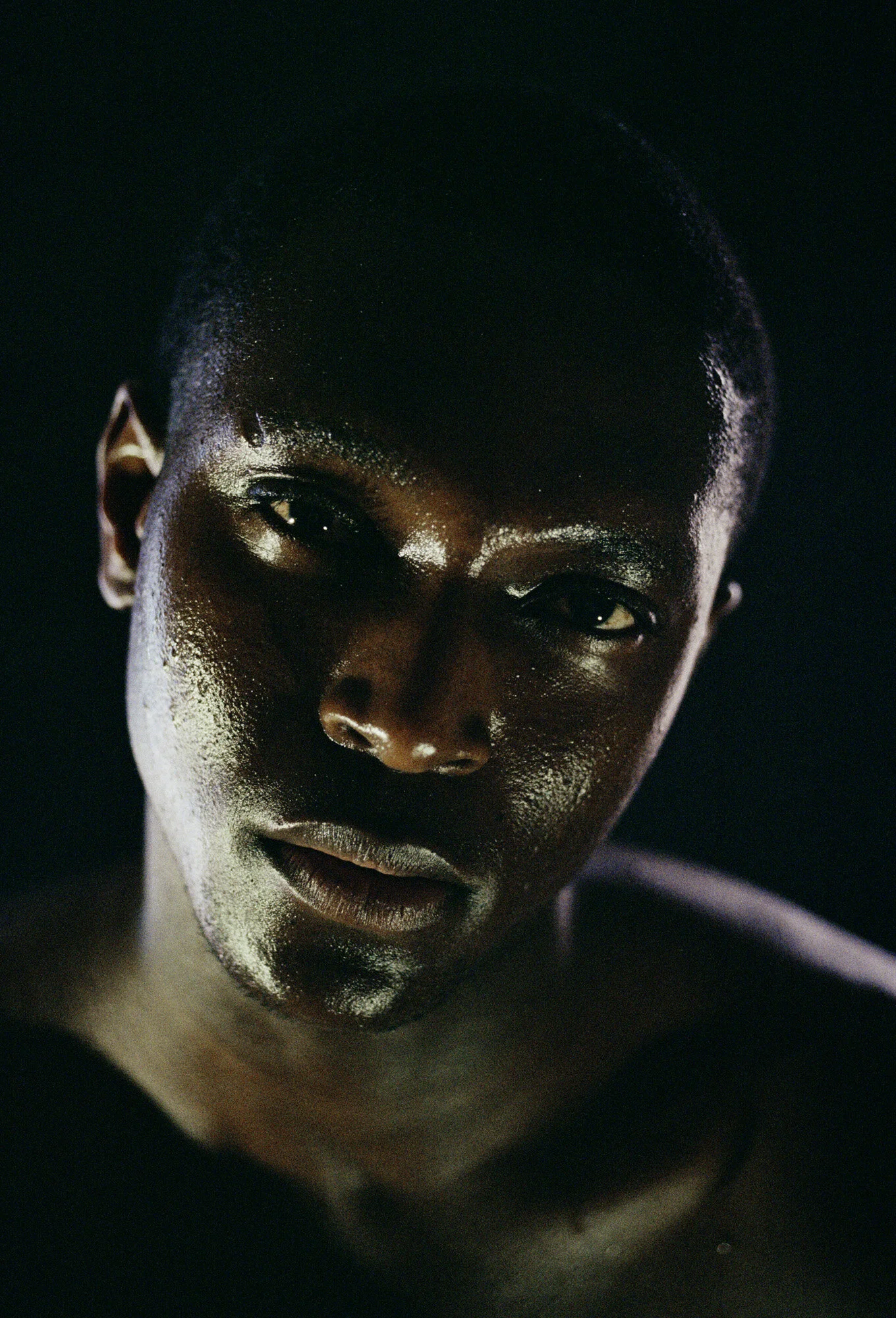 Portraits — Matthew Leifheit