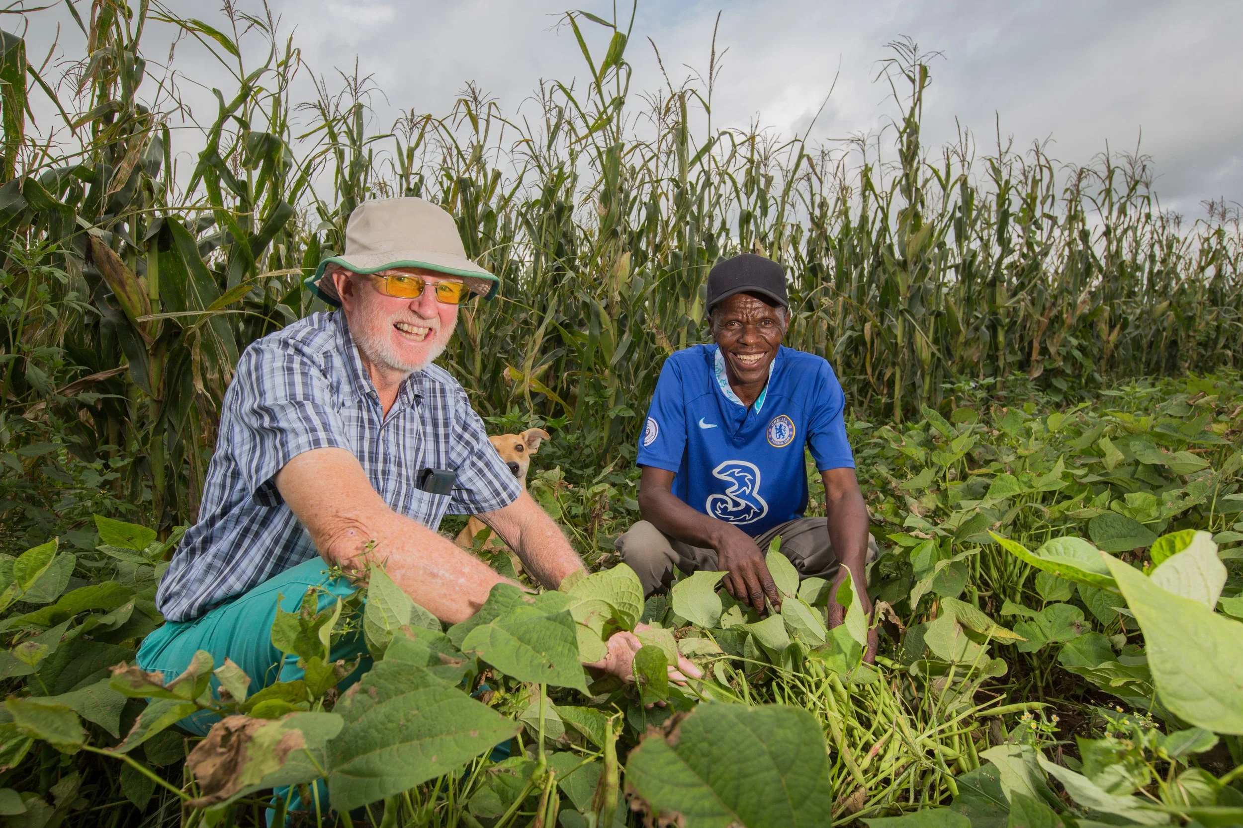 HGA Grow — Harry Gwala Agri