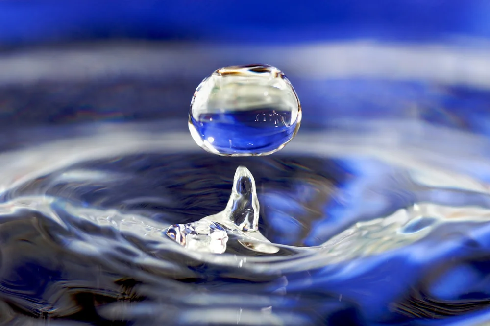 Water Purity Comparison — Micro