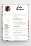 21 Inspiring Examples of Creative CVs