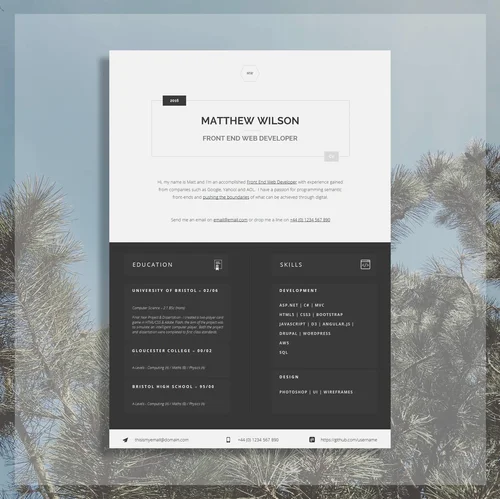 Technical / IT CV Templates