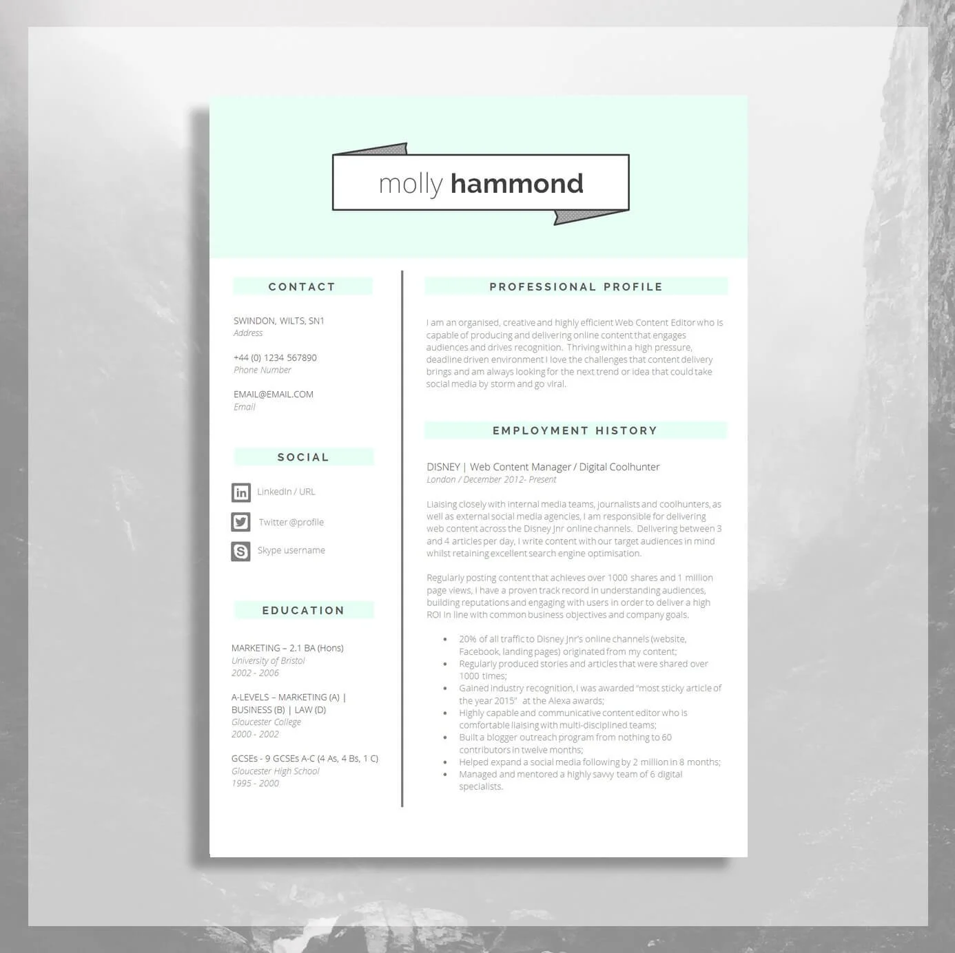 20 Cv Templates For Word Download Now