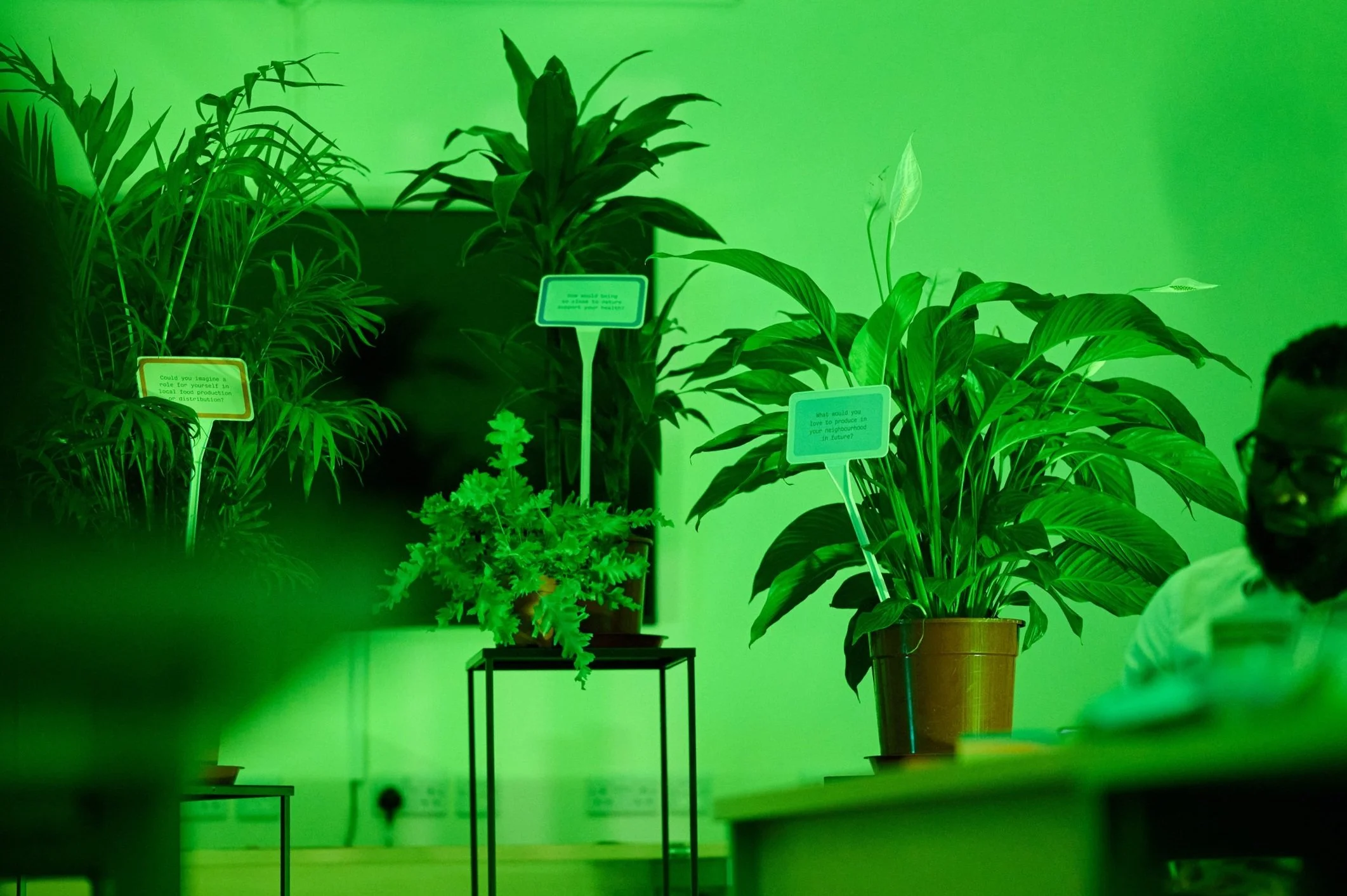 Job Design Lab — The Liminal Space