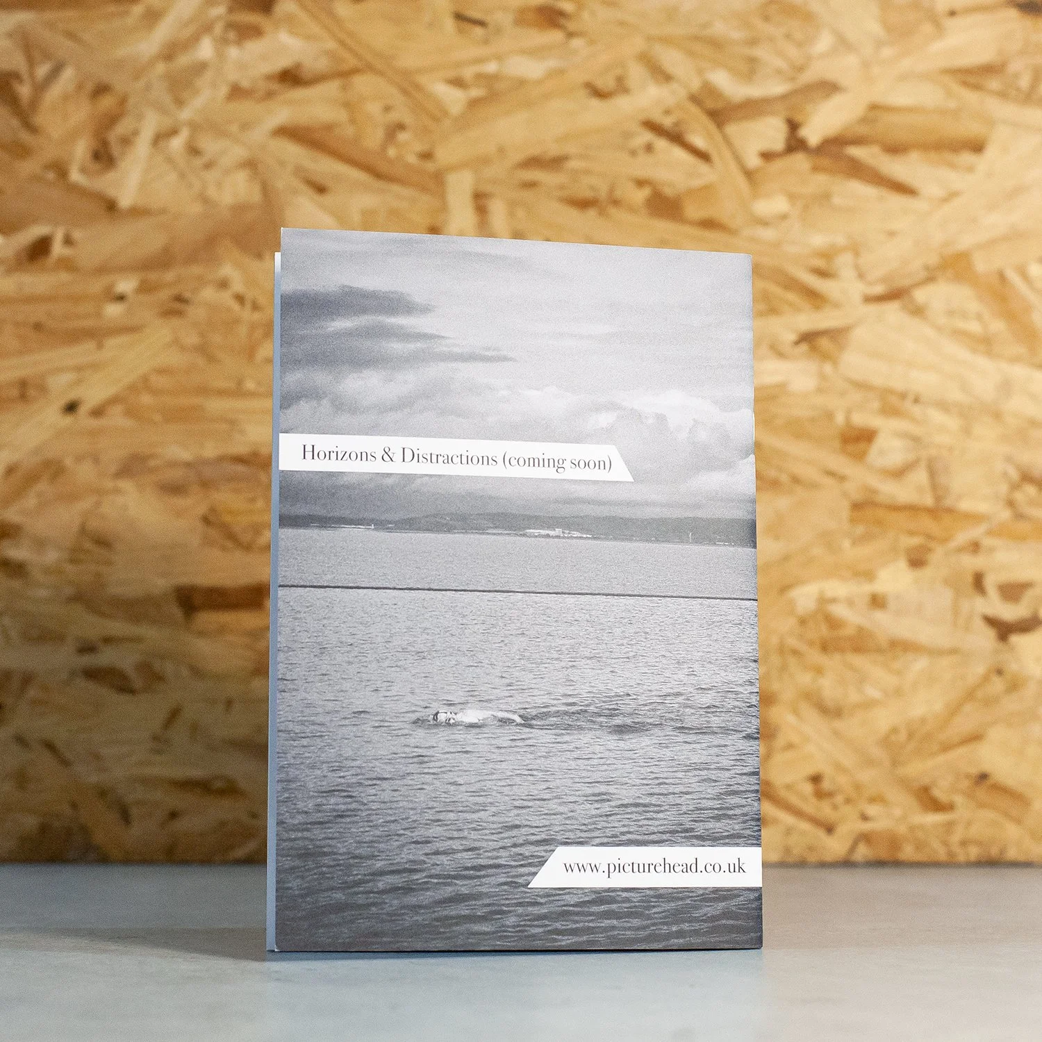 Nosey Parker | Hannah Platt — Photographique Photo Lab
