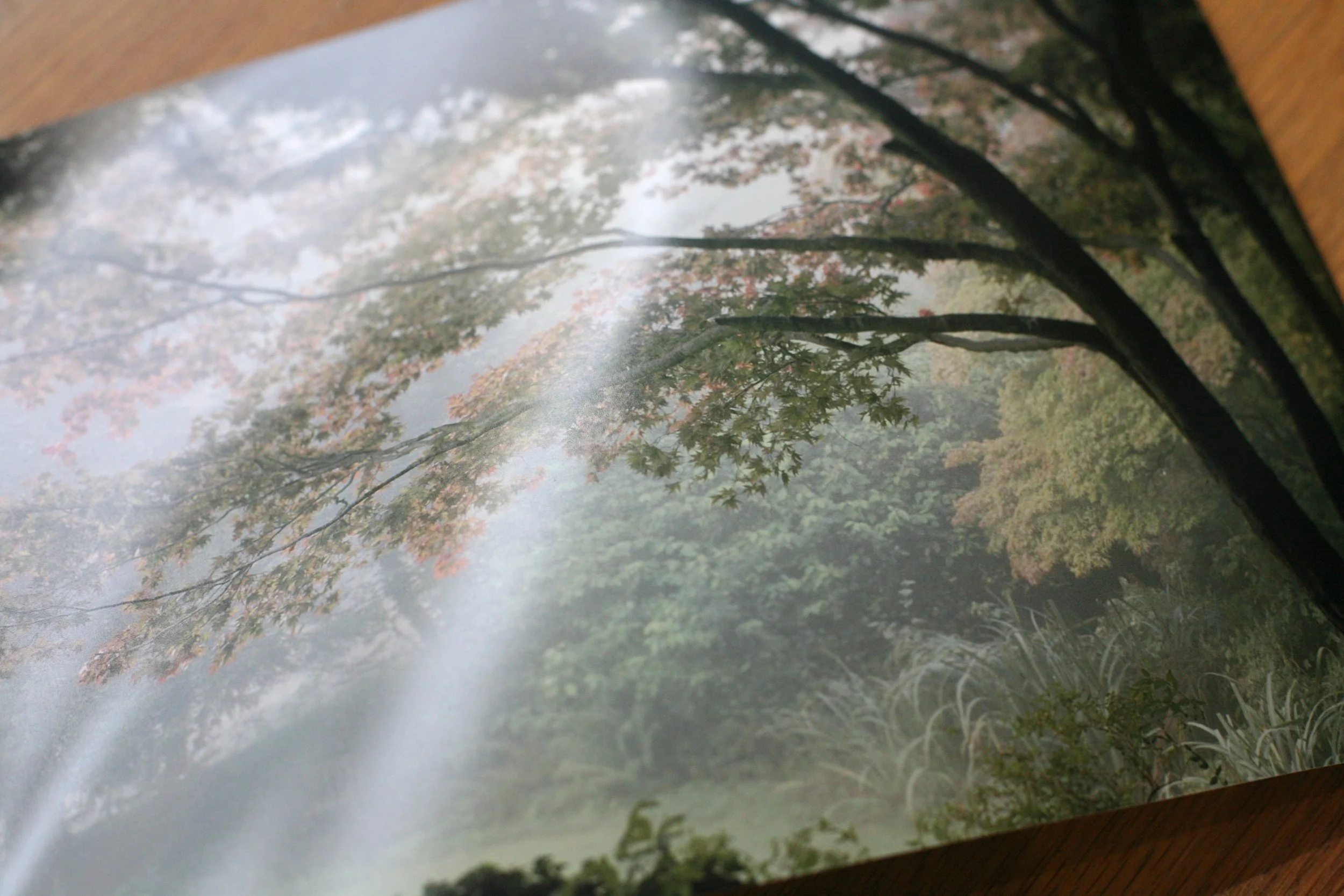 Photographic Printing — Photographique Photo Lab