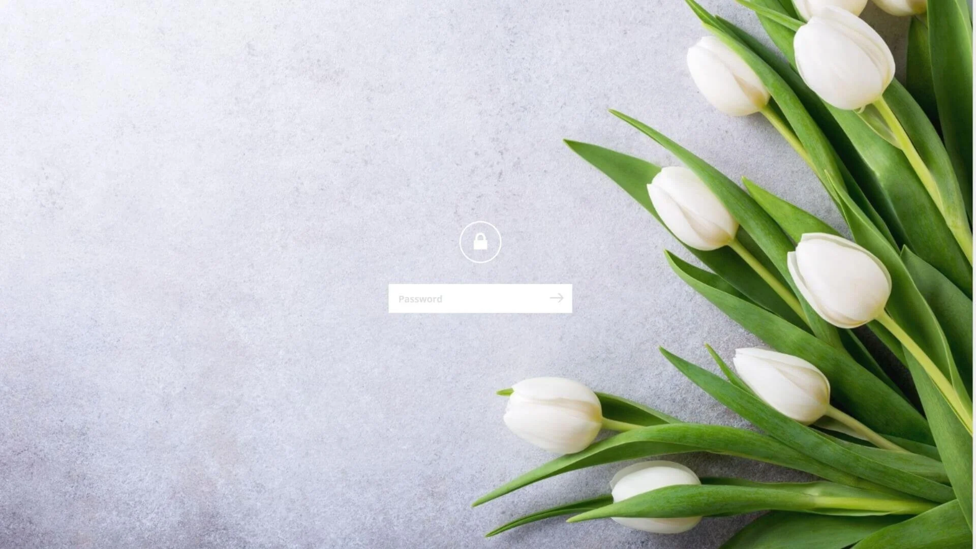 Using The Squarespace Lock Screen — LESS STRESS DESIGN