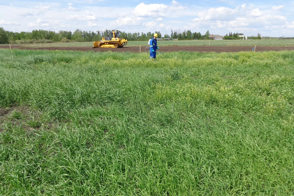 Reclamation & Restoration — Summit Earth