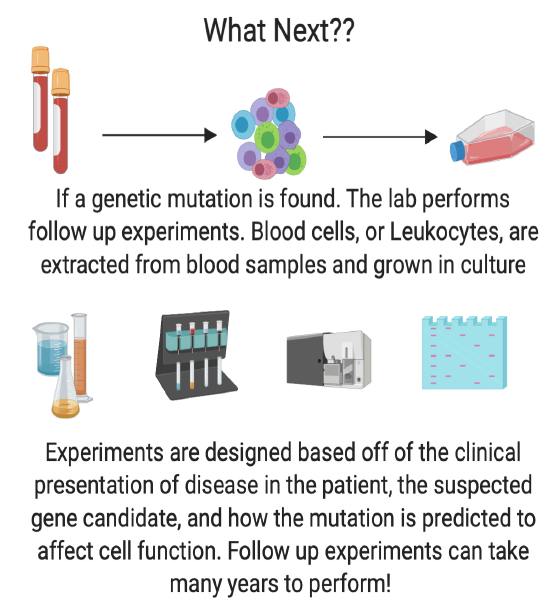 Genomics Study — Lucas Lab