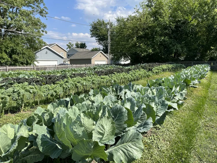 Johnnie Mae Farm Market, Farm Tour & Tasting — Northeast Indiana Local ...
