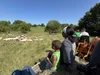Greener Pastures Walking with the Sheep — Northeast Indiana Local Food ...