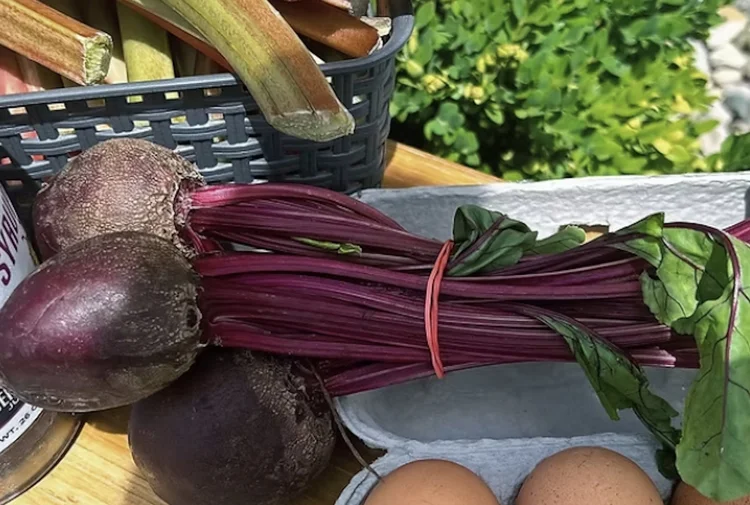 Noble Roots Farm & Market: Toxicity Overload with Dr. Caleb — Northeast ...