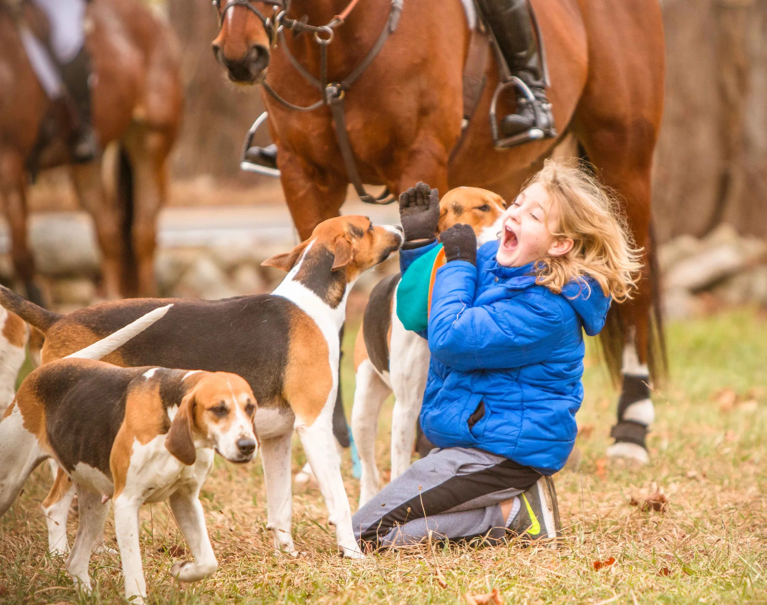 The Steeplechase Course — The Norfolk Hunt Club