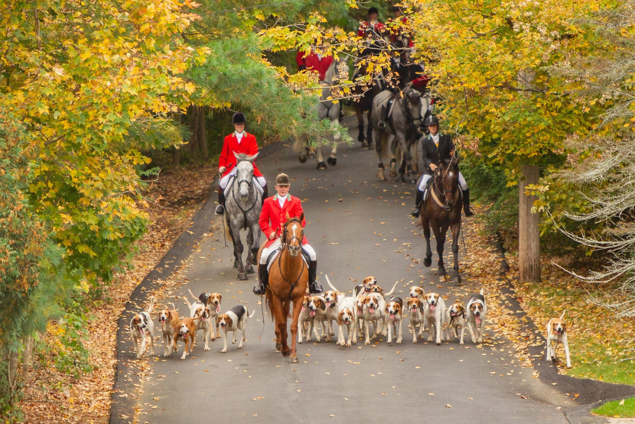 The Norfolk Hunt Club
