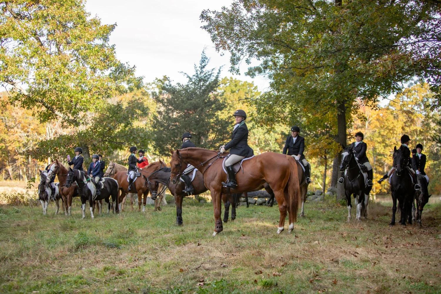Hunting with Norfolk 2 — The Norfolk Hunt Club