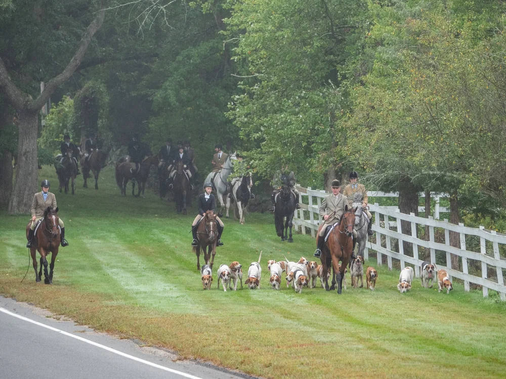 Hunting with Norfolk 2 — The Norfolk Hunt Club
