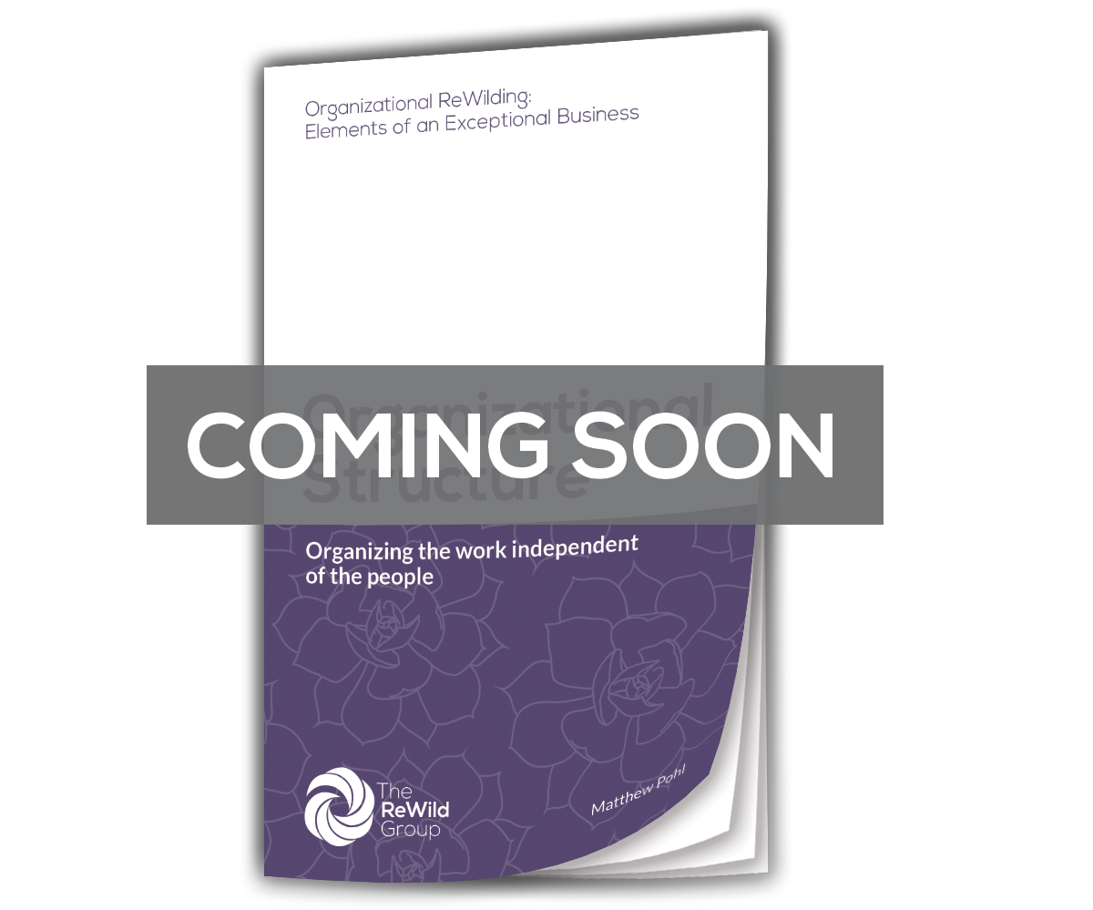 Guidebooks for Successful Businesses — The ReWild Group