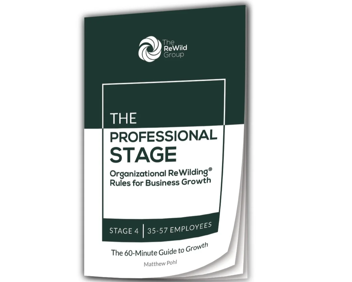 Business Growth Program to Develop You Own Business Growth Strategy ...