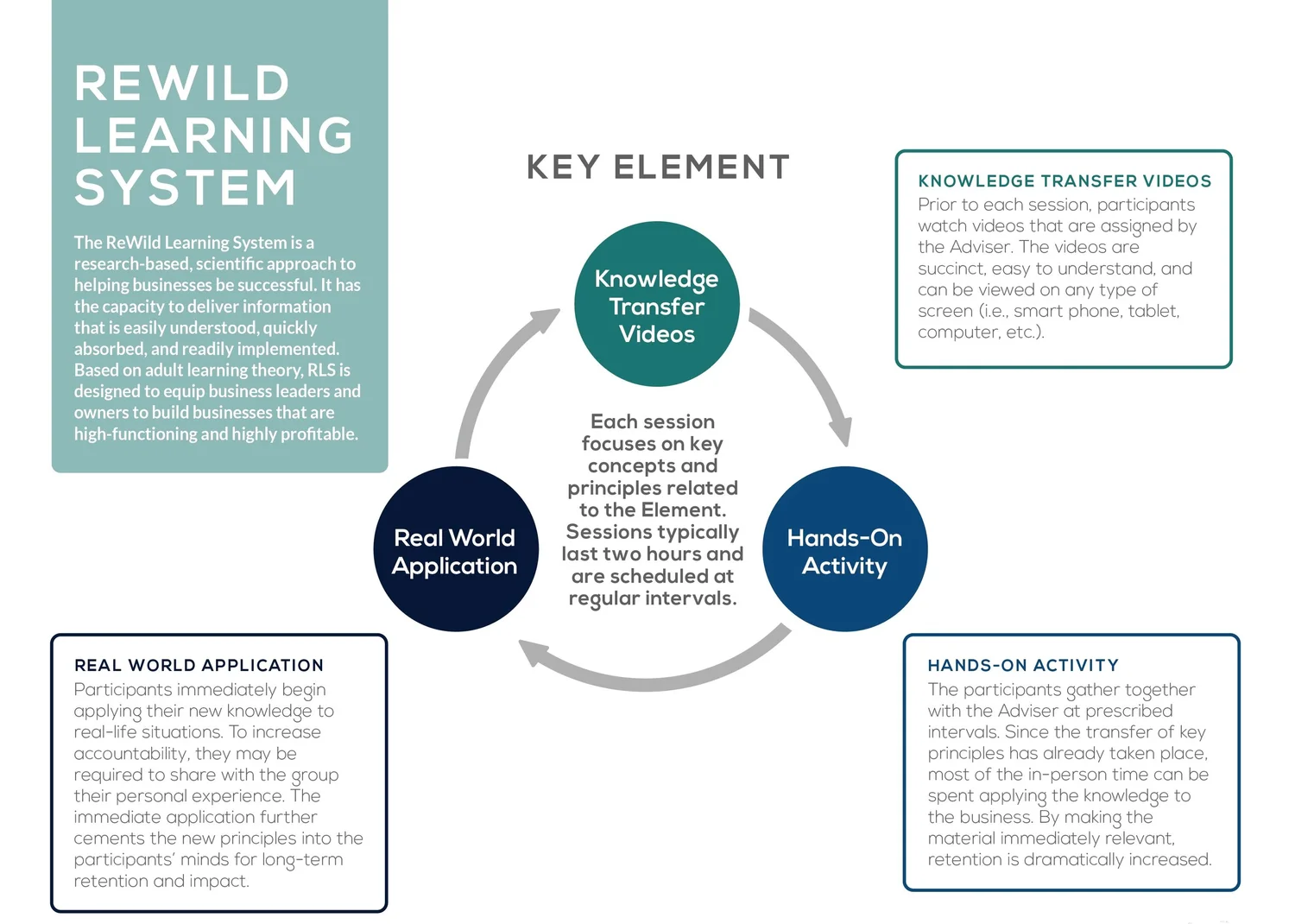 The Organizational ReWilding Process — The ReWild Group