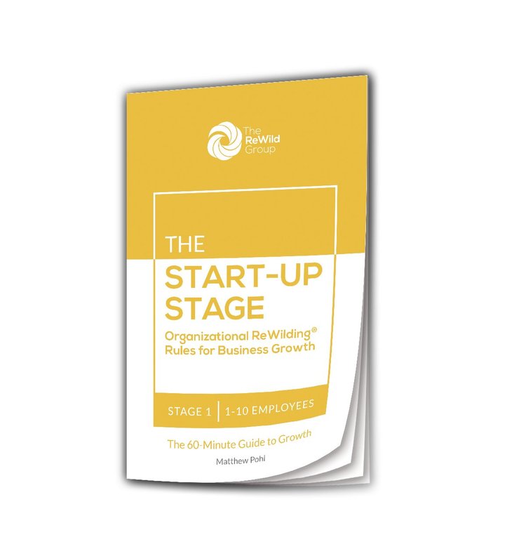 Business Development Structure: Generating and growing consistent ...