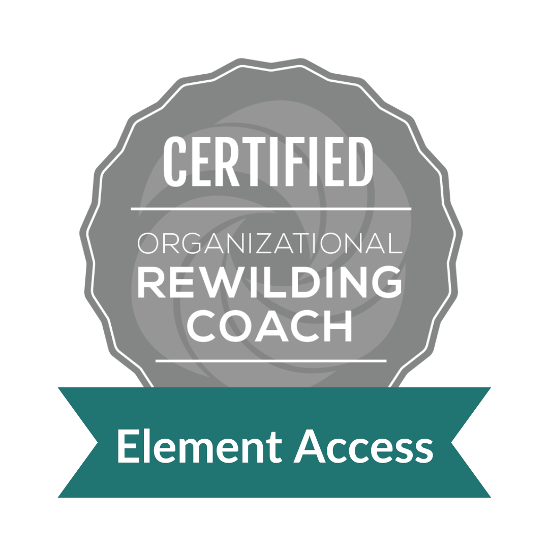 The ReWild Group Store - Books, Guides, Reference Cards & More — The ...