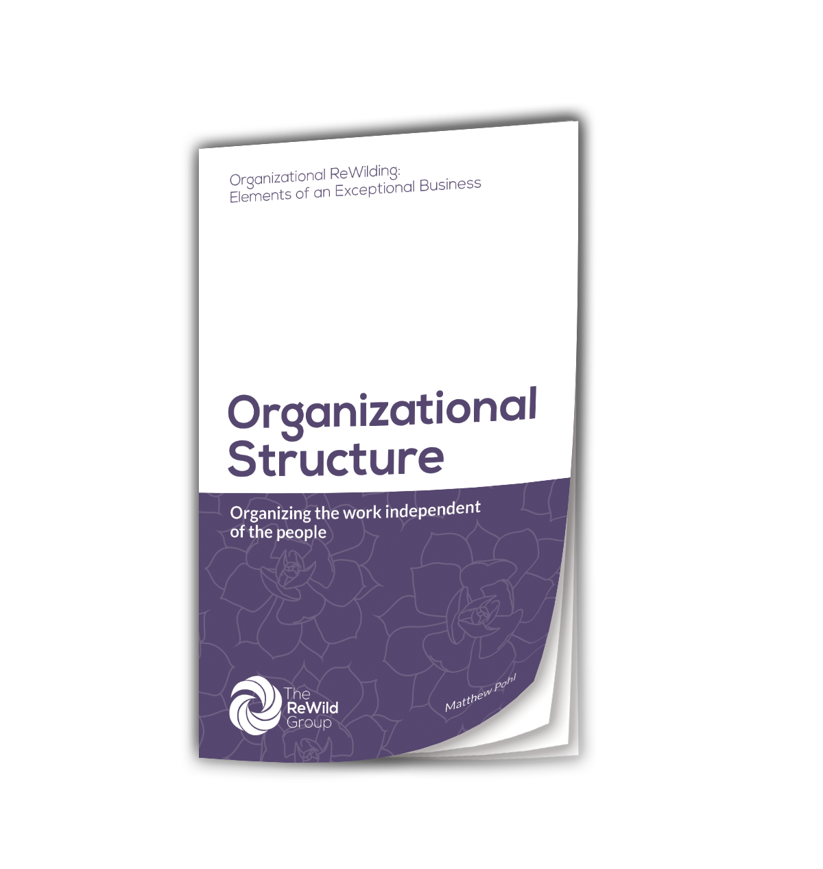 Organizational Structure Guidebook — The ReWild Group