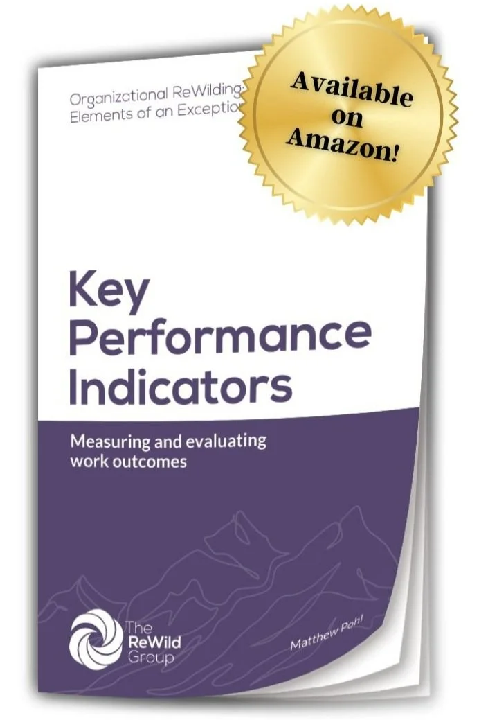 Key Performance Indicators (KPI) — The ReWild Group