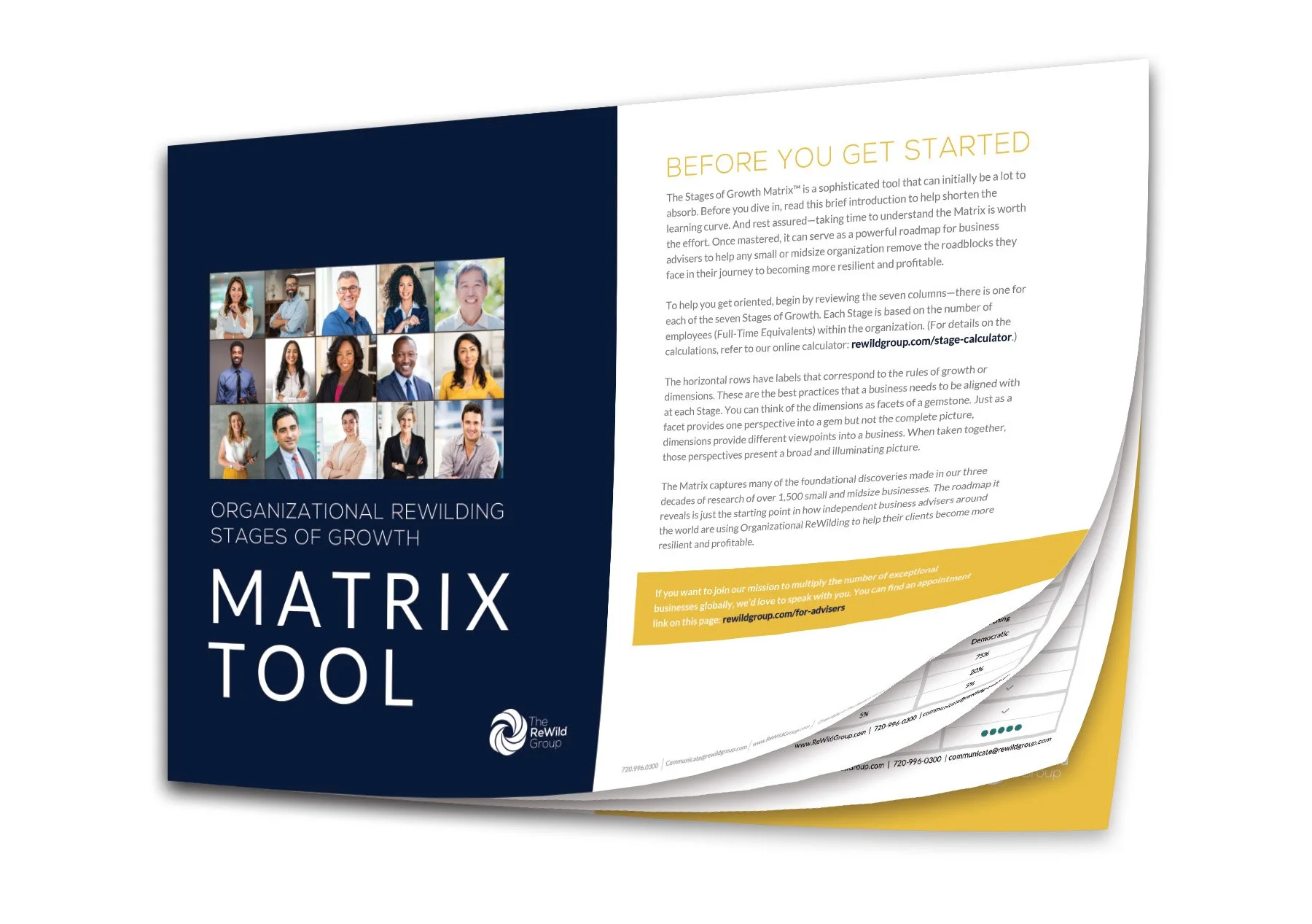 The Stages of Growth Matrix Tool — The ReWild Group
