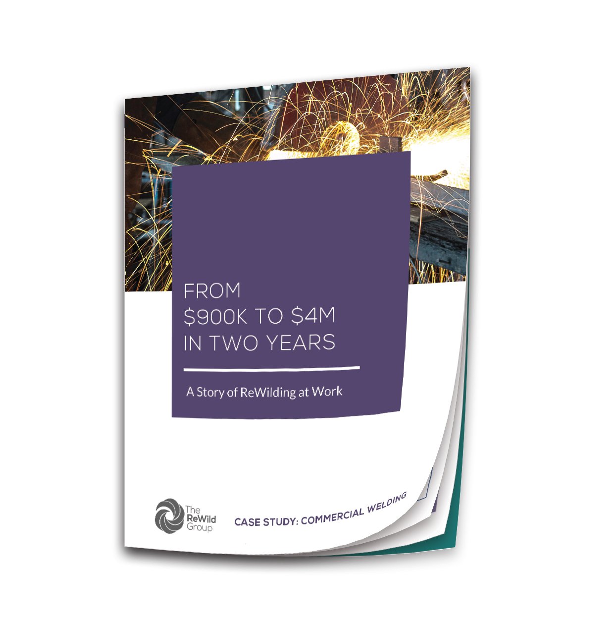 Exit Planning & Organizational ReWilding — The ReWild Group