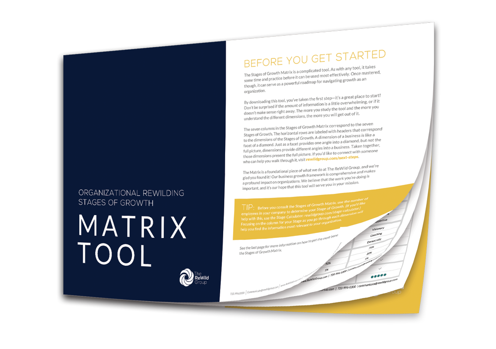 The Stages of Growth Matrix Tool — The ReWild Group