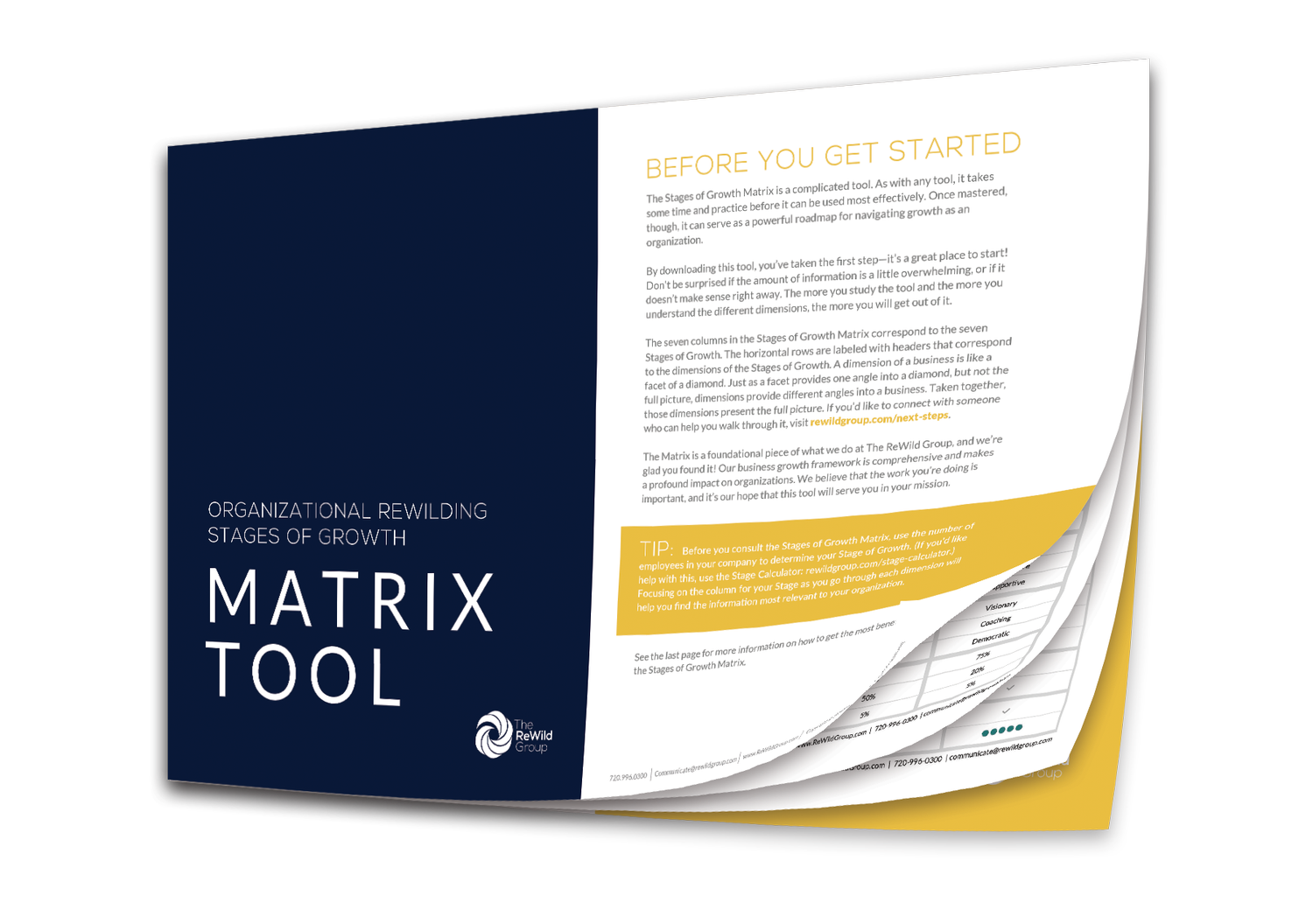 The Stages of Growth Matrix Tool — The ReWild Group