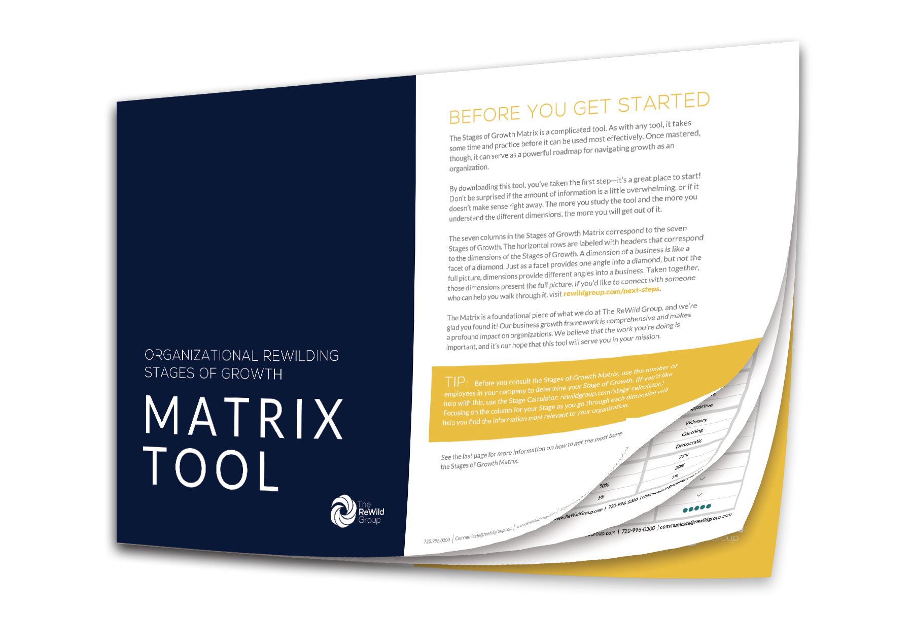The Stages of Growth Matrix Tool — The ReWild Group