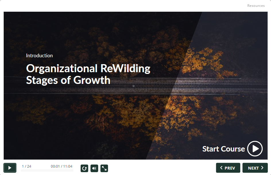 Business Growth Program to Develop You Own Business Growth Strategy ...